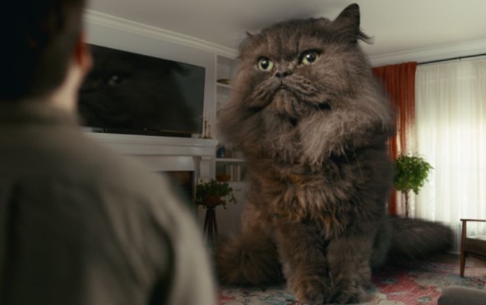 Cat’s Pride & Two by Four make odor… very hard to ignore Reel Chicago News